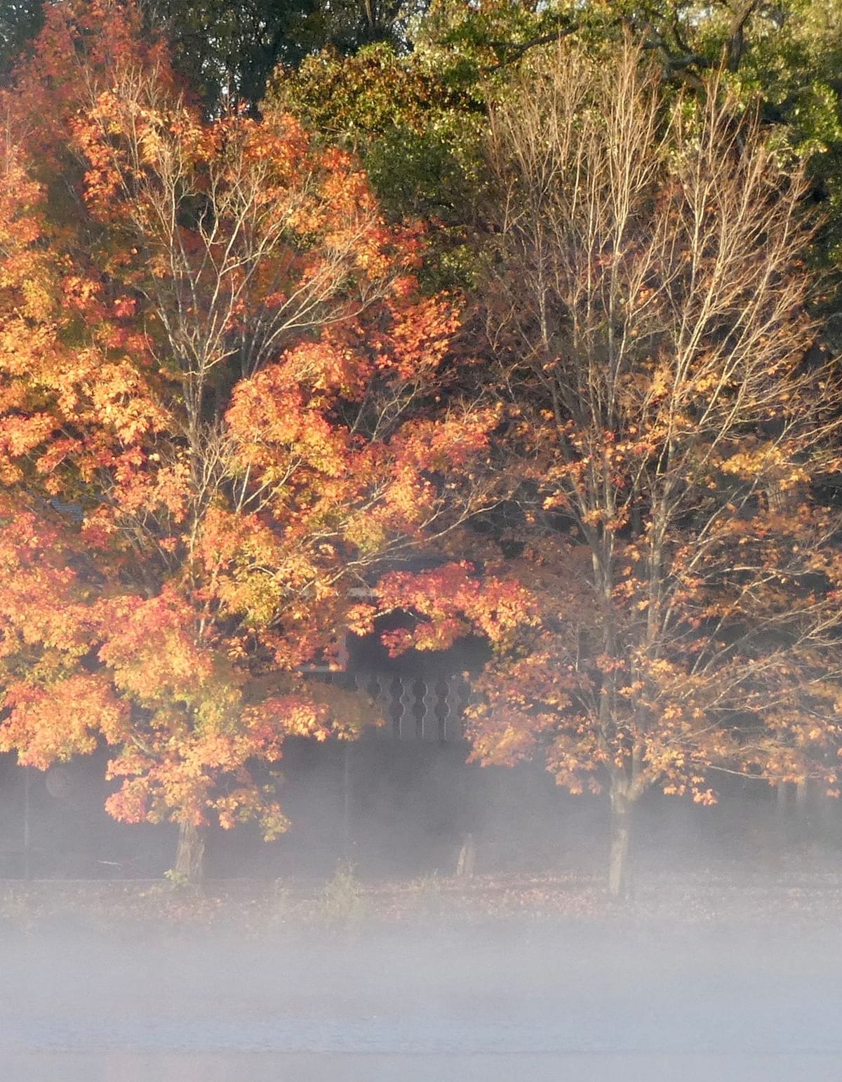 Gifts for the Seven Wise Sisters from a Couple Brothers with the Same Mother